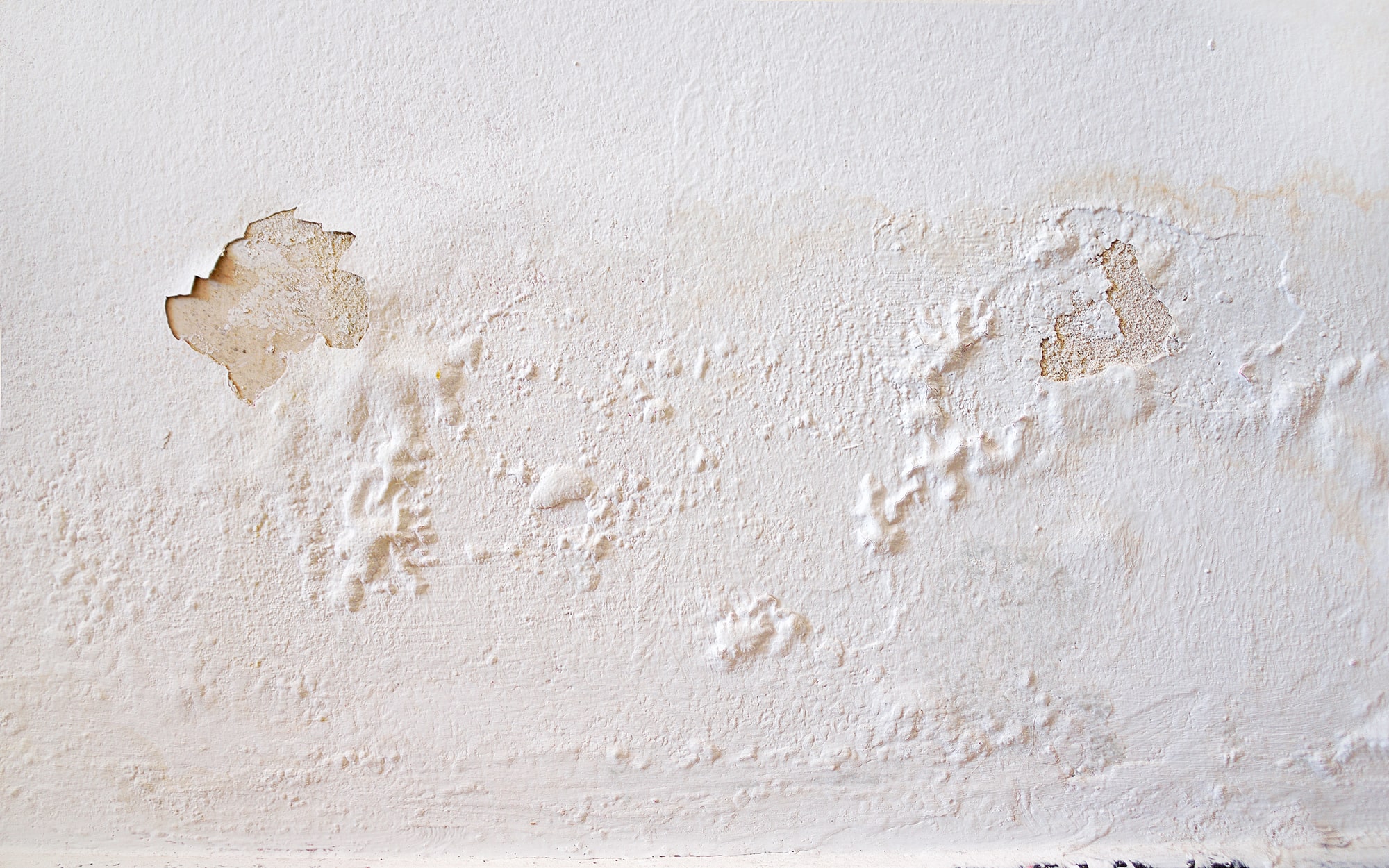 Repair from Water Damage: What to Fix First